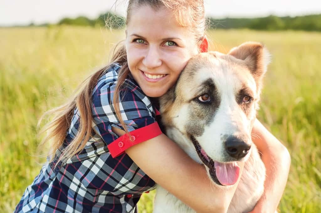 Are Pets Covered Under Home Insurance? | Zolo